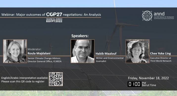 Webinar: Major outcomes of COP27: An analysis