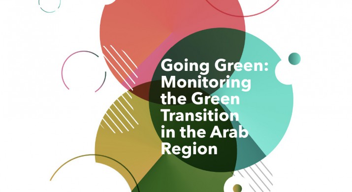 Green-transition discourse in MENA